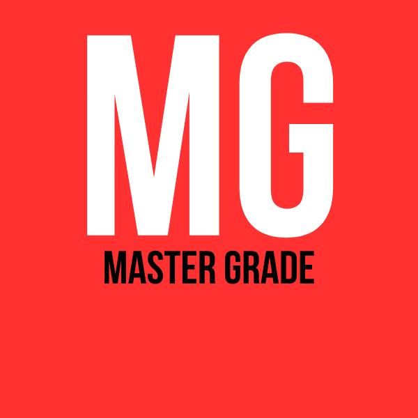 Gunpla Master Grade 1/100